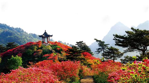 麻城景区 麻城景点 伤感说说吧