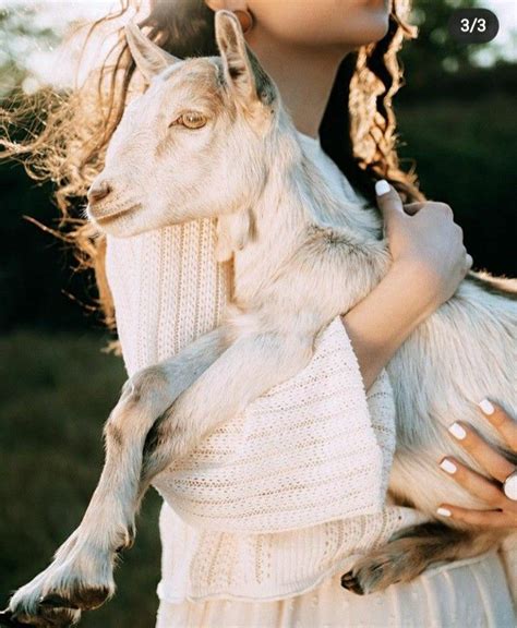 With Goat Фотосессия Козлята Концептуальная фотография