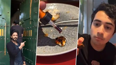 Viral News Srk Gauris Torii Is Selling ‘fake Paneer Influencer Sarthak Sachdevas Iodine