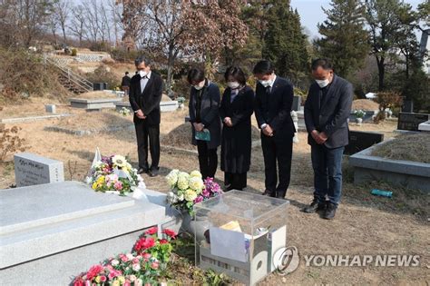 김종철 여당 중대재해법 차일피일현실안주 정치 나무뉴스