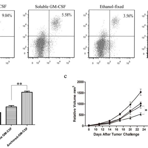 Anchored Gm Csf Vaccine Increased Dc Activation And Induced An Download Scientific Diagram