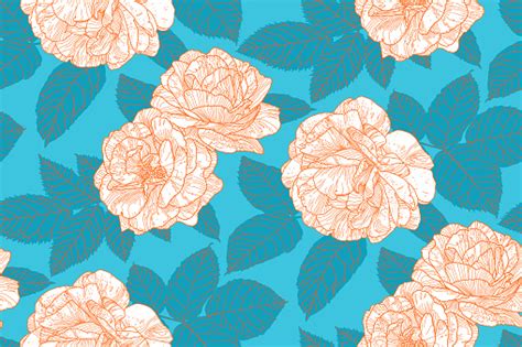 파란색을 배경으로 한 파란색 녹색 잎이 있는 흰색과 복숭아 등고선 장미의 매끄러운 패턴 0명에 대한 스톡 벡터 아트 및 기타 이미지 0명 가리기 귀여운 Istock