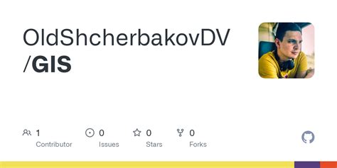 Github Oldshcherbakovdv Gis