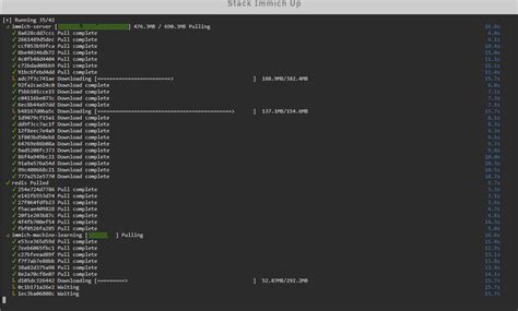 Guide Immich Docker Setup Docker Compose Docker Containers Unraid