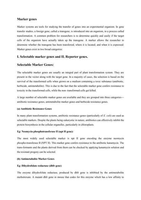 Selectable Marker Genes Ppt