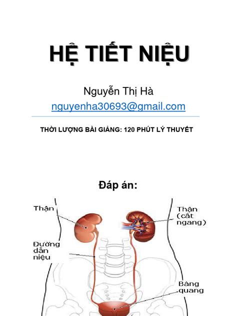 ana 203 mo phoi 2020s lecture slides 5 2 pdf