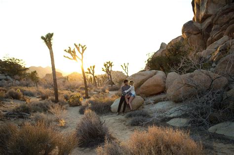 Intimate Joshua Tree Session