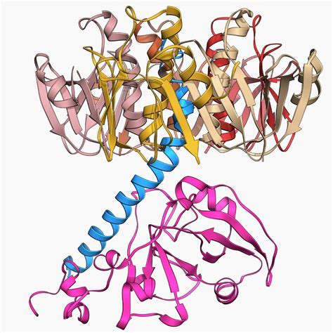 Cholera Toxin Molecule Photograph By Laguna Design Science Photo