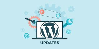 Importance Of Updating Your Website Wordpress Plugins And Themes Lagos Abuja Port