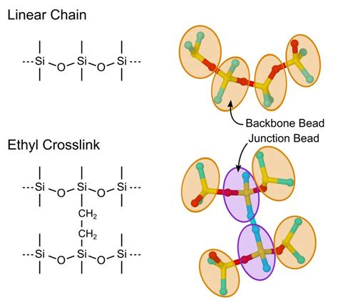 Comparison Of The Linear Pdms Backbone And Ethyl Crosslinking Junctions