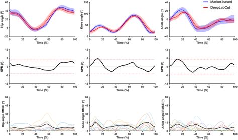 Top Marker‐based Blue And Markerless Motion Capture Deeplabcut