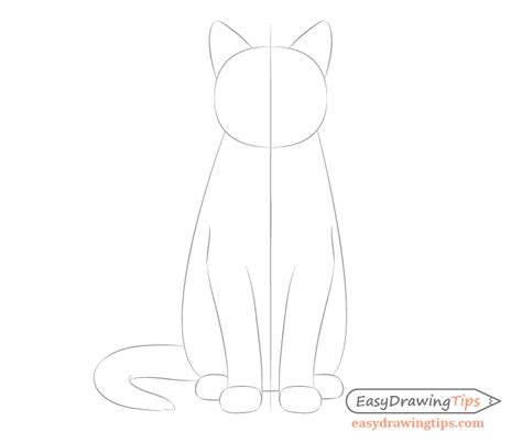How To Draw A Realistic Cat Body How To Draw A Realistic Cat Body