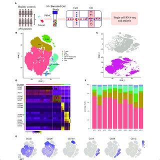 Single Cell RNA Seq Design And Initial Analysis A Schematic Download Scientific Diagram