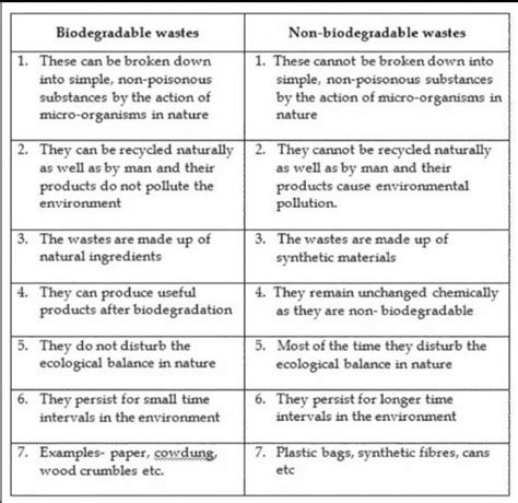 Explain In Detail The Difference Between Biodegradable And Non