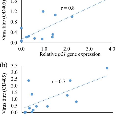The Positive Correlation Between Bnyvv Transcripts And P21 Protein