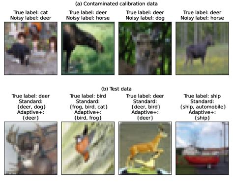 Demonstration Of Some Cifar 10 Images With Contaminated Labels A And Download Scientific