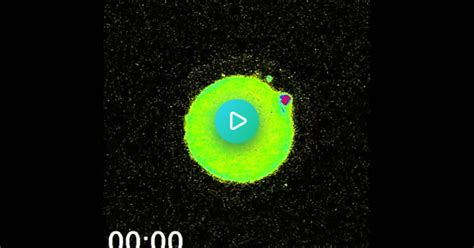 Scientists Just Captured The Flash Of Light That Sparks When A Sperm