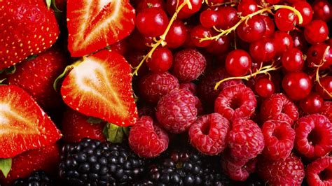 אל תשמרו בבטן שמונה מזונות מופלאים לעיכול מושלם מעריב