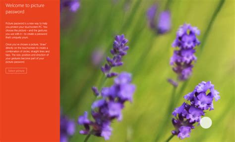 5 Tips For Managing Windows User Accounts Like A Pro