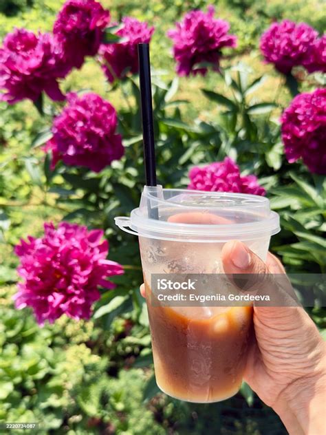 배경에 생생한 분홍색 모란이 있는 꽃이 만발한 정원에서 아이스 커피의 플라스틱 컵을 들고 있는 손 야외에서 상쾌한 여름 음료 라이프스타일과 휴식의 개념 개화기에 대한 스톡