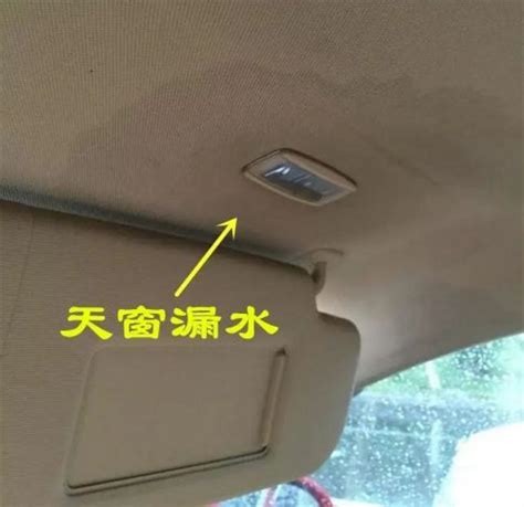 天窗漏水保险公司赔偿吗 有驾