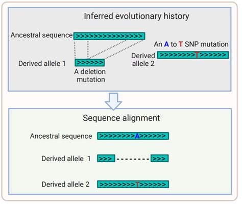 Trends Plant Sci 北京大学现代农业研究院宋宝兴课题组发表植物基因组序列比对方法综述论文 知乎