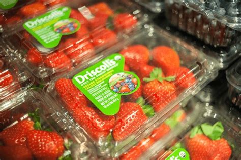 Organic Driscoll Strawberries