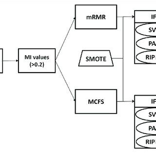 Analysis Framework Download Scientific Diagram