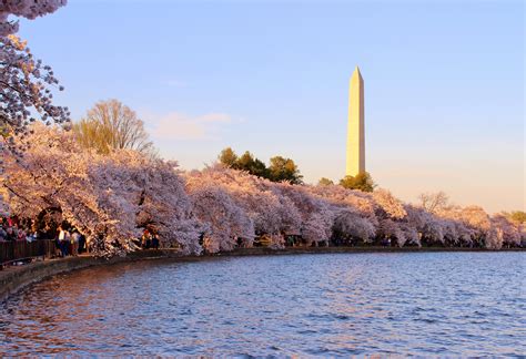 Washington Wallpapers