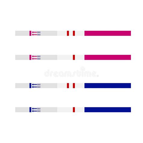 Pregnancy Test Female Negative Or Positive Test Good Ovulation Women S Health Stock Vector