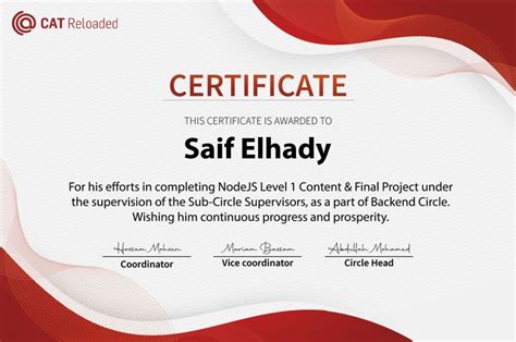 saif elhady on linkedin catreloaded nodejs