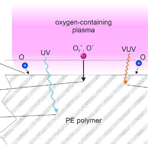 Illustration Of Polyethylene Pe Polymer Activation By Oxygen Plasma Download Scientific