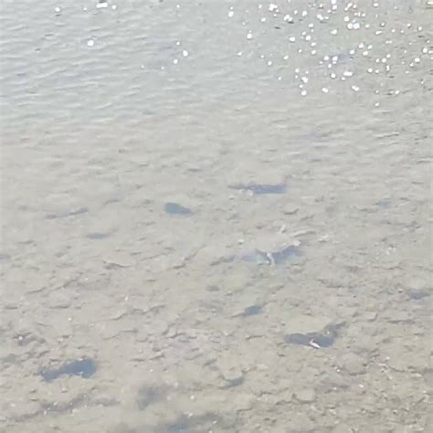 귀여워요 빨리 가자 가자 Youtube