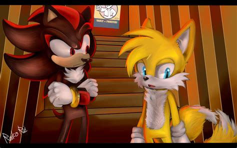 Shadow And Tails By Renkorei On Deviantart