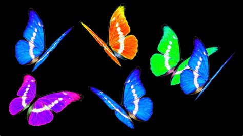 [애프터이펙트] 3d 나비 모션 만들기 Youtube