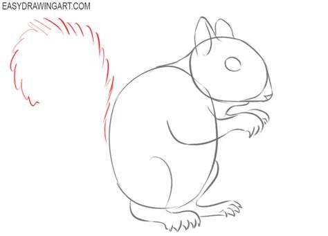 Squirrel Cartoon Drawing