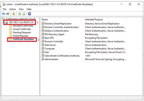 Setting Up A Ca Template With San And Custom Settings