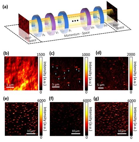 High Sensitivity Nano Imaging With Momentum Space Polarization Filters