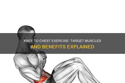 Knee To Chest Exercise Target Muscles And Benefits Explained Cyvigor