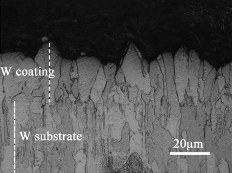 Sem Image Of Cross Sectional Microstructure Download Scientific Diagram