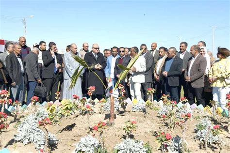 100 مليون شجرة زيادة المساحات الخضراء والغابات والحدائق بالمحافظات