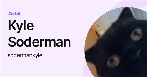 Kyle Soderman Sodermankyle Profile Padlet