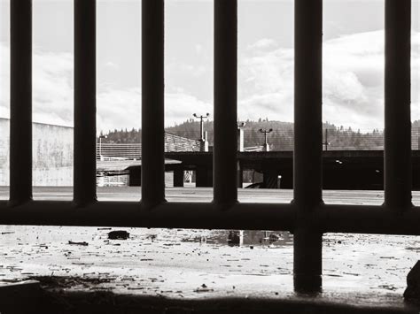 2018 — day 25 for the last few days i ve been using… by mark