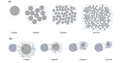 Schematic Illustration Of Corn Stover Particles At Different Size And Download Scientific