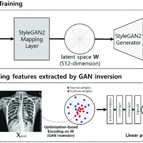 Training Strategy For Developing Sensitive Classification Networks