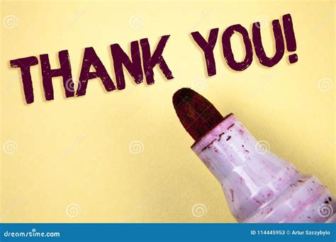 Text Sign Showing Thank You Motivational Call Conceptual Photo Appreciation Greeting