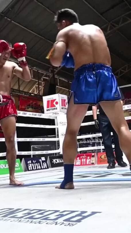 Ooof Muay Thai Kicks To The Head Have You Sleepi Tumbex