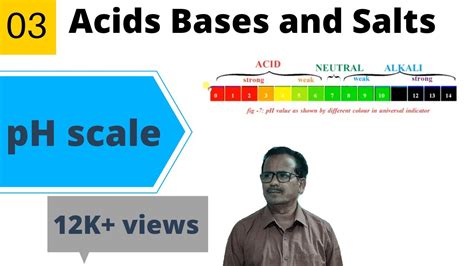 Acids Bases And Salts Class 10 Ph Scale Youtube