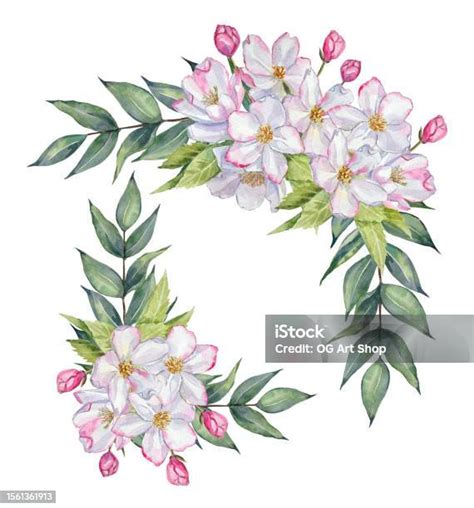องค์ประกอบที่ทําไว้ล่วงหน้าสีน้ําด้วยดอกไม้ต้นแอปเปิ้ลและกิ่งก้านใบ ภาพประกอบสต็อก ดาวน์โหลด