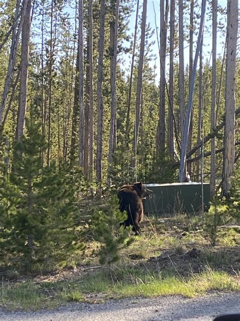 92530 A7 A D04 C 4234 B8 F3 21673 Eec7 D61 — Postimages